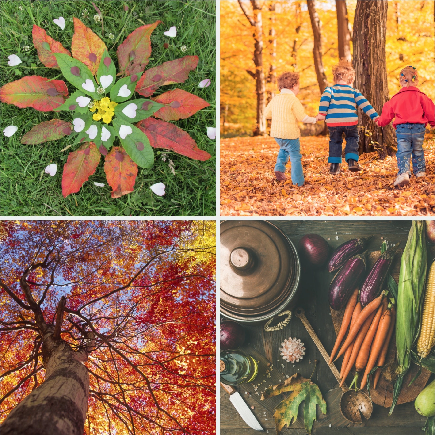 10 sustainable ideas for autumn with children - Native Nanny GmbH